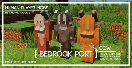 Human Player Mobs Mod | Minecraft Addon