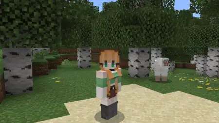 Player Genders Mod | Minecraft Addon