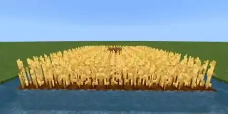 Fancy Crops | Minecraft Addon / Texture Pack