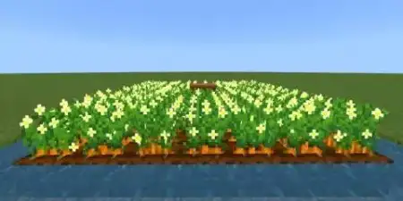 Fancy Crops | Minecraft Addon / Texture Pack