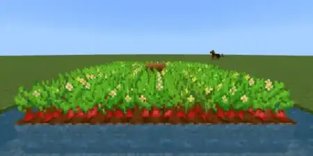 Fancy Crops | Minecraft Addon / Texture Pack