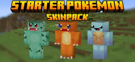 Minecraft Skins / Skins Packs