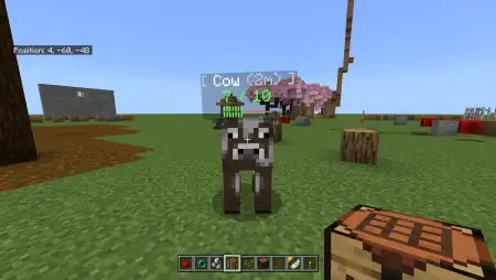 Health Bar Mod | Minecraft Addon