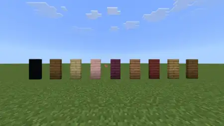 Any Door Mod | Minecraft Addon