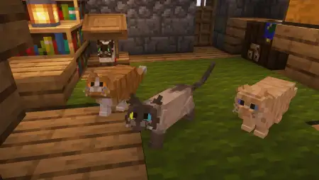 Better Cats! | Minecraft Addon / Texture Pack